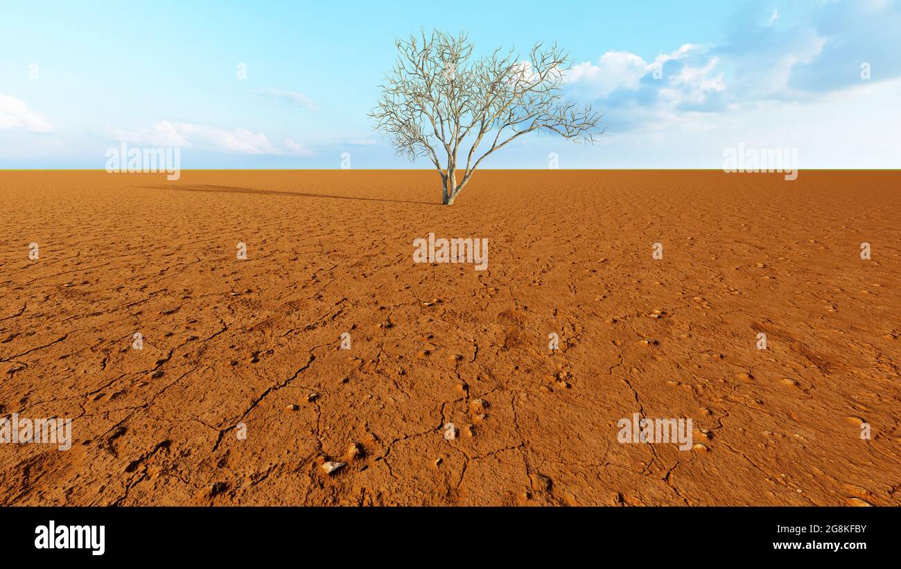 Desert sand temperature warning hi-res stock photography and images - Alamy