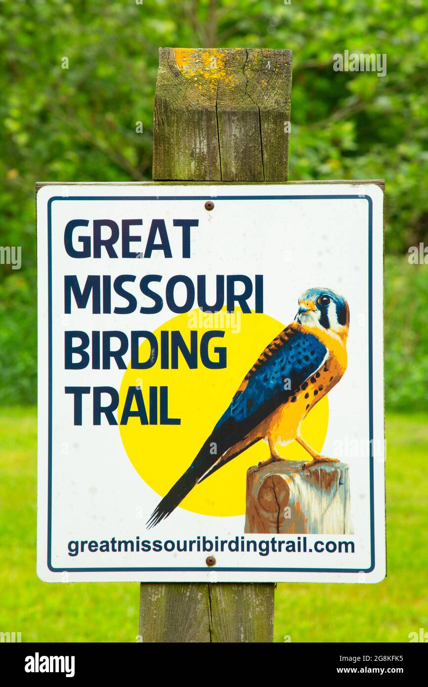 Great Missouri Birding Trail sign, Pershing State Park, Missouri Stock ...