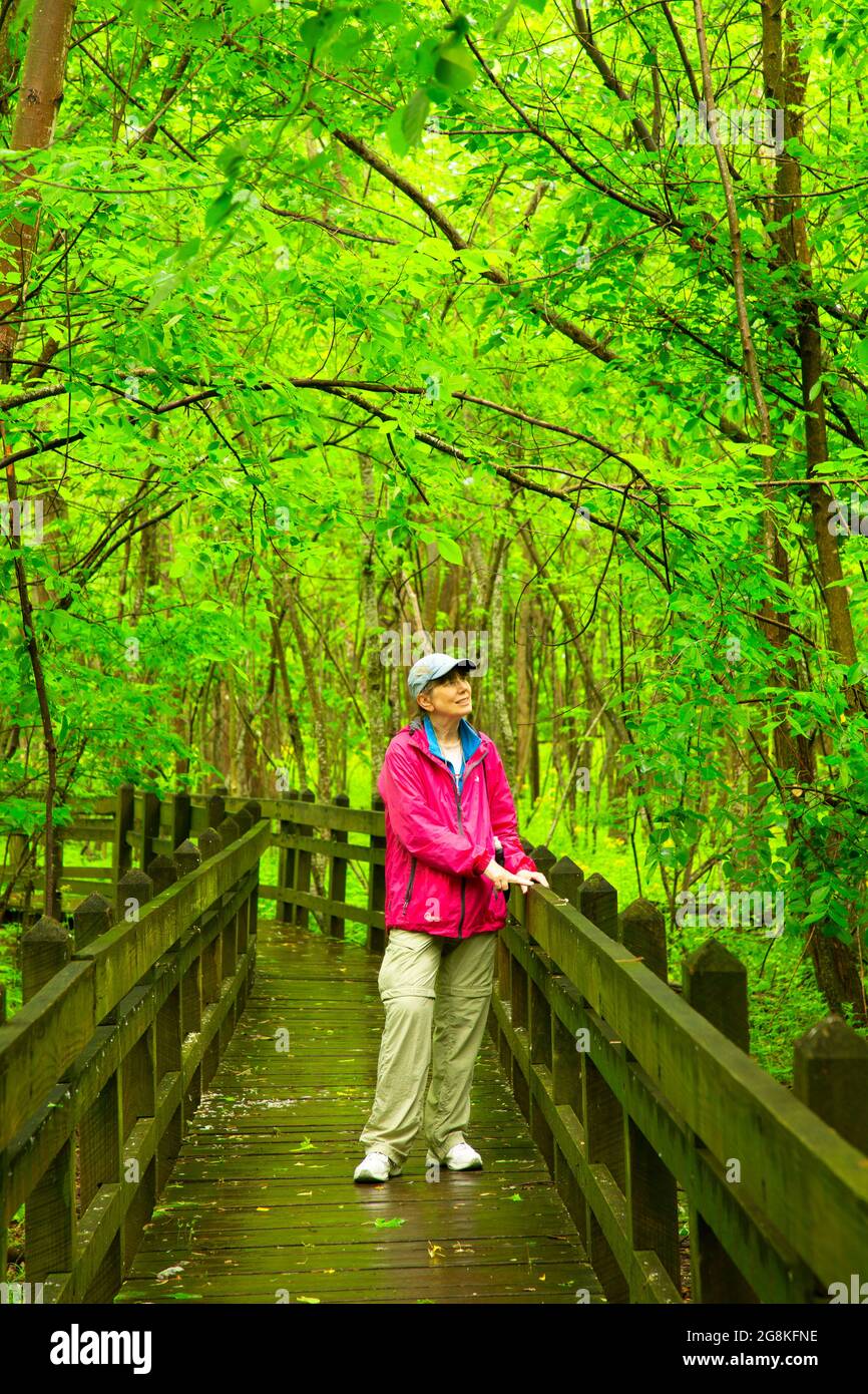 Locust Creek Boardwalk, Pershing State Park, Missouri Stock Photo - Alamy