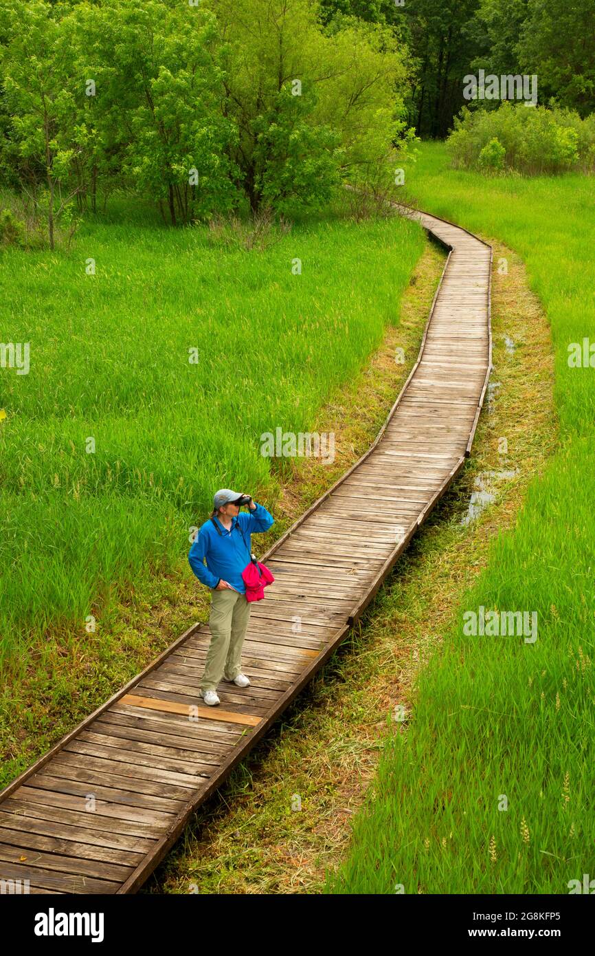 Locust Creek Boardwalk, Pershing State Park, Missouri Stock Photo - Alamy
