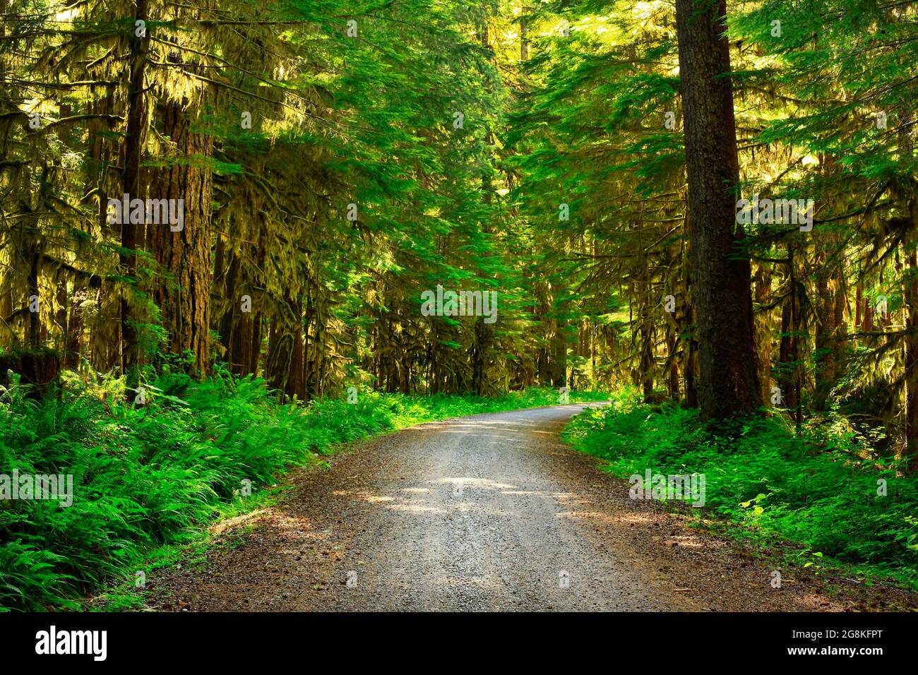 Pacific northwest hiking hi-res stock photography and images - Alamy
