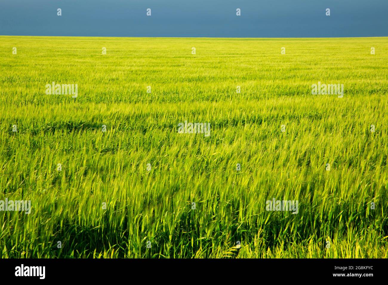 Nebraska agriculture hi-res stock photography and images - Alamy