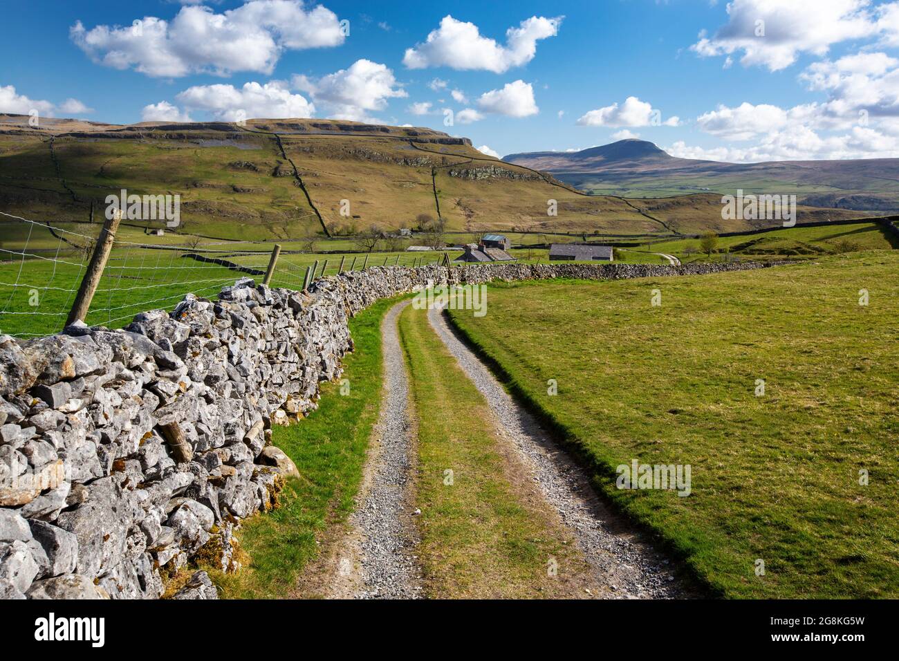 A farm track above Austwick, Yorkshire Dales, UK, looking towards ...