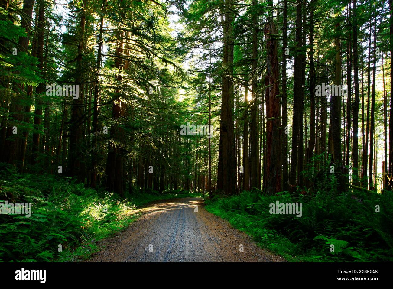 Pacific northwest nature hi-res stock photography and images - Alamy