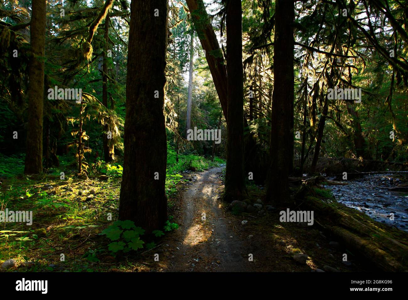 Pacific northwest nature hi-res stock photography and images - Alamy