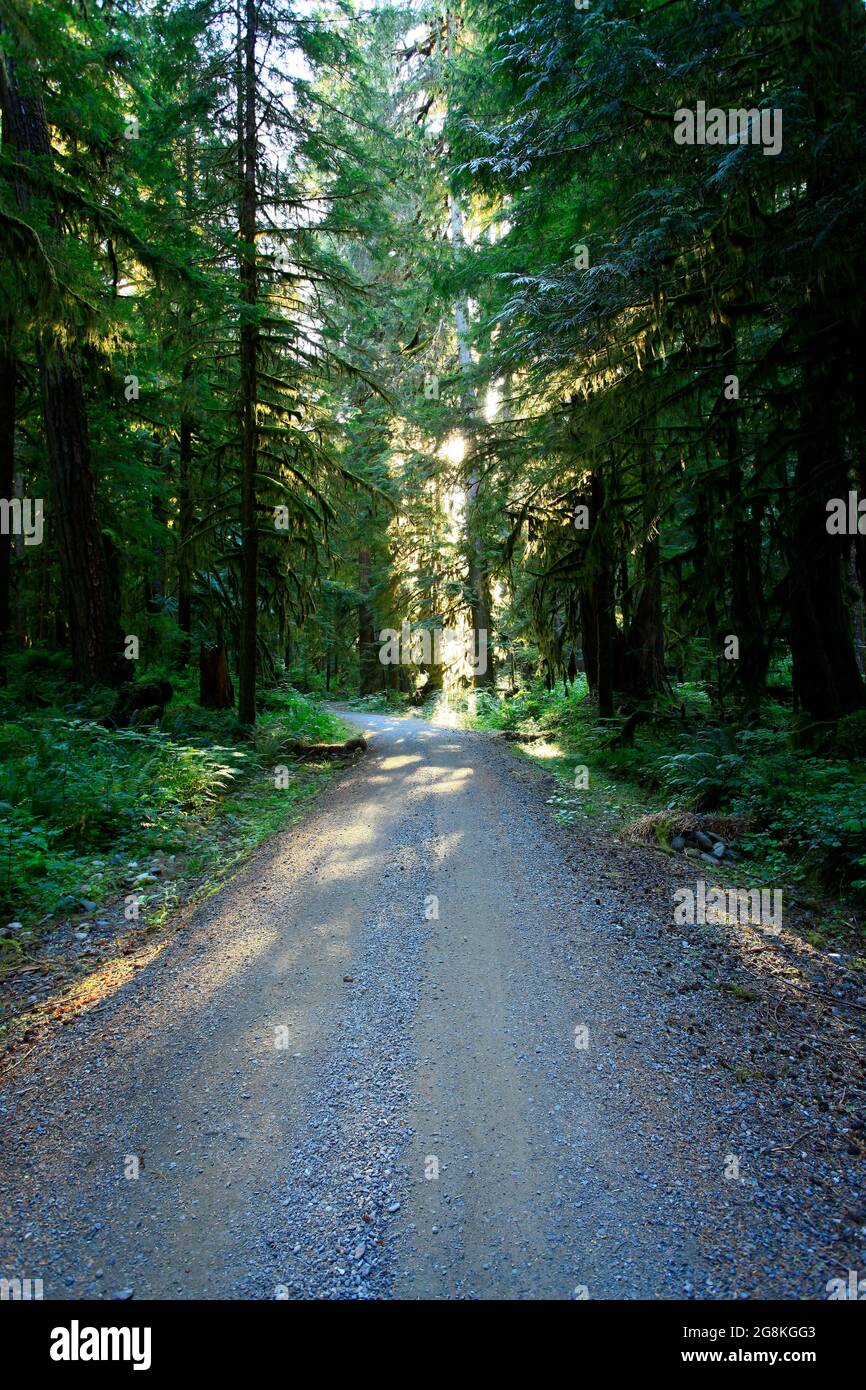 Pacific northwest nature hi-res stock photography and images - Alamy