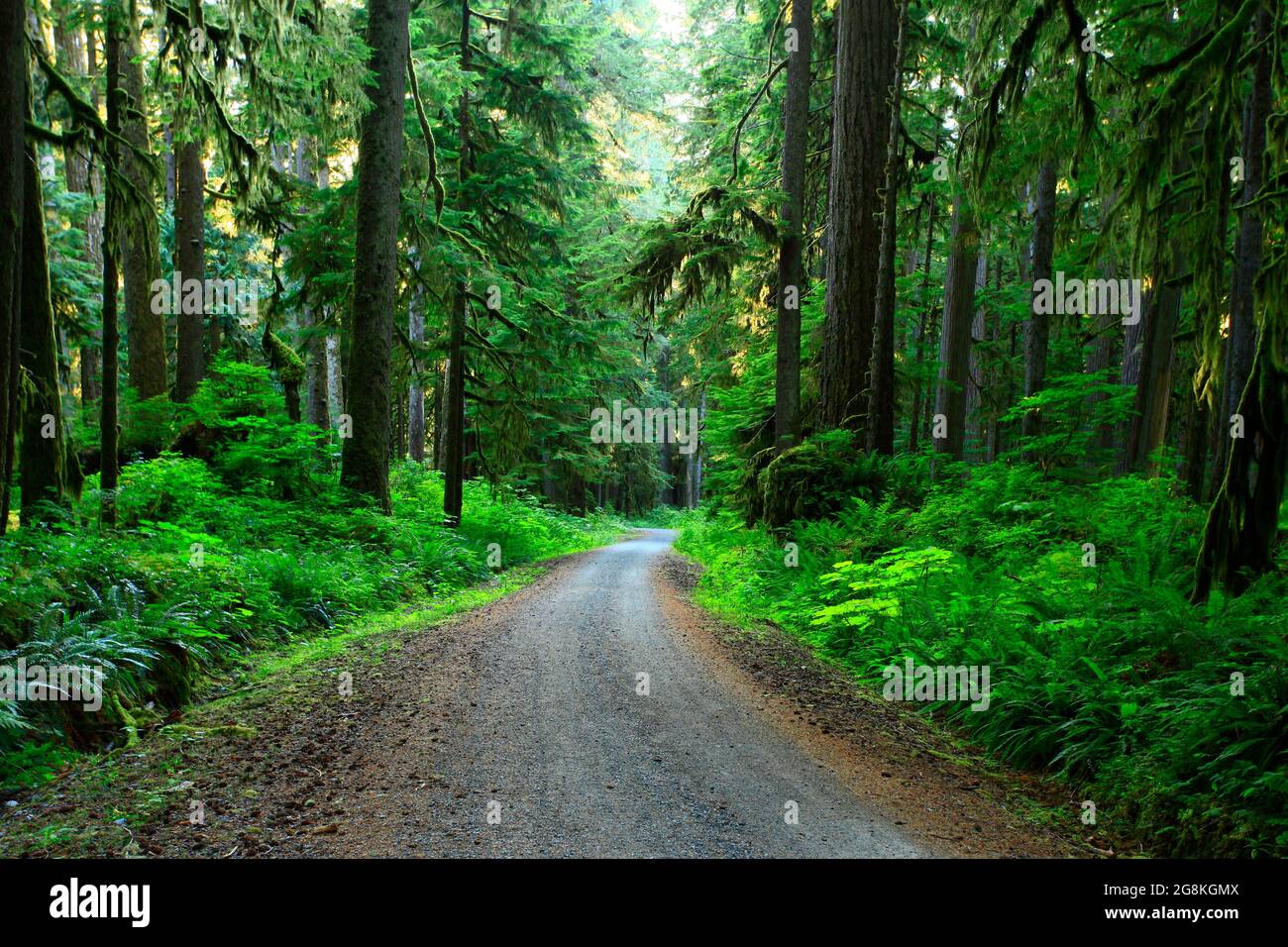 Pacific northwest nature hi-res stock photography and images - Alamy