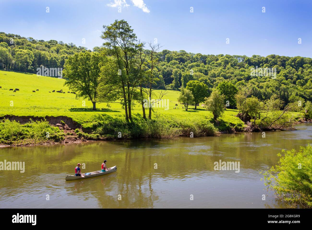Canoes on the River Wye below Coppet Hill, near Symonds Yat ...