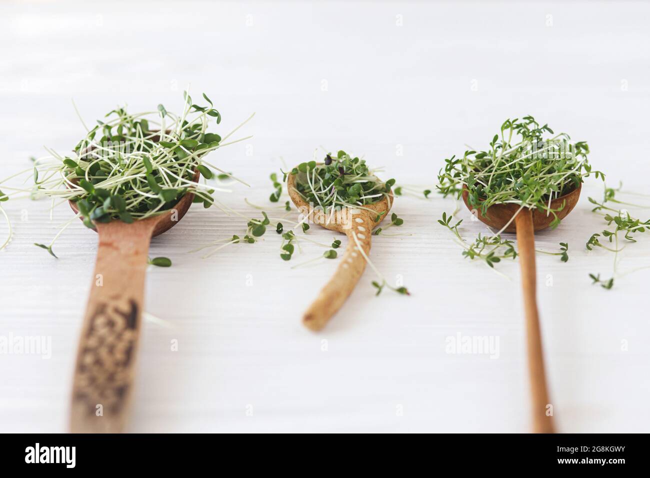 Spoons with fresh microgreens sprouts on white wooden background ...