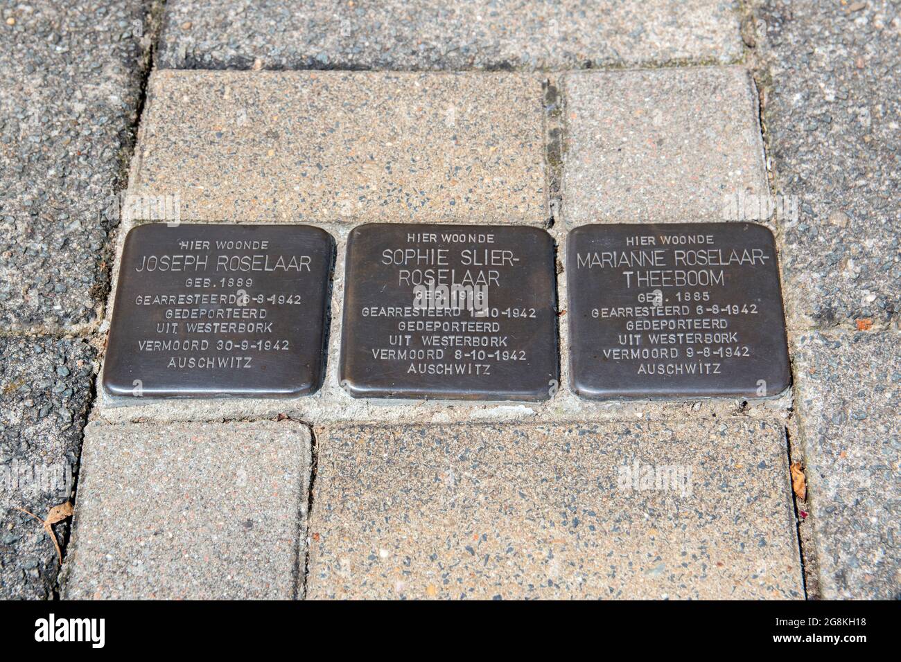 Stolperstein Memorial Stone From Family Roselaar At Amsterdam The ...