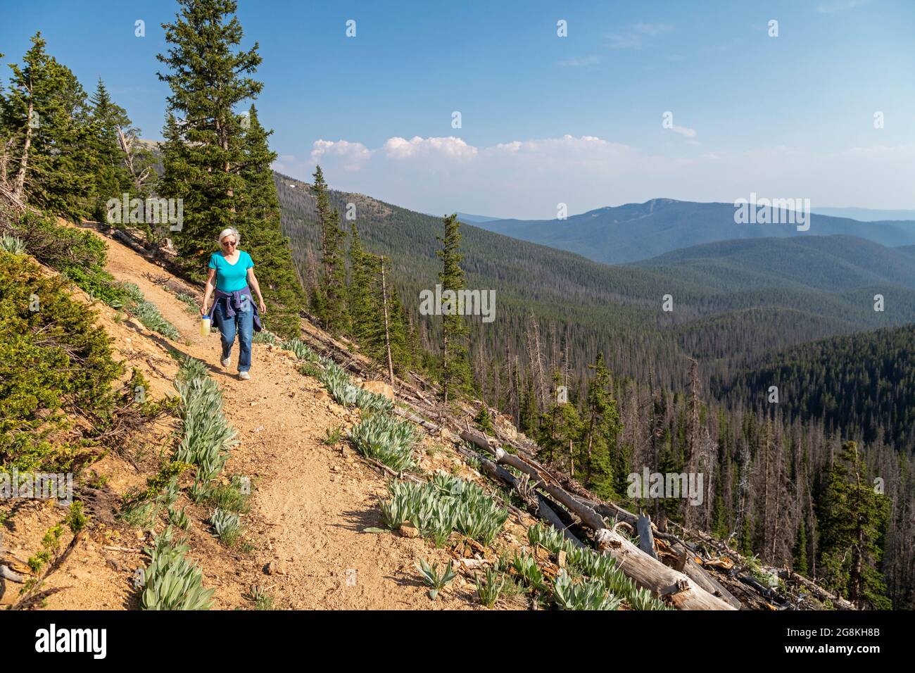 Monarch, Colorado - Susan Newell, 72, hikes on a trail above Monarch ...