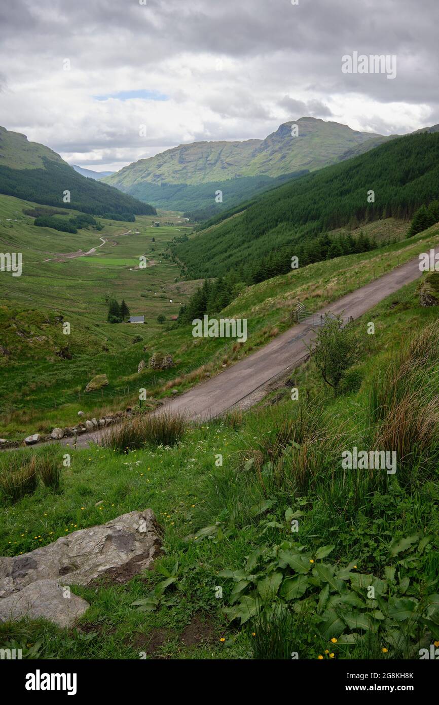 Kinglas croe hi-res stock photography and images - Alamy