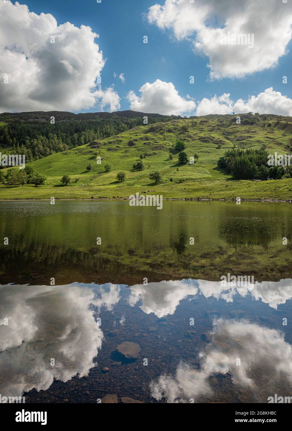 Blea Tarn, Lake district national park, mirror water reflection Stock ...