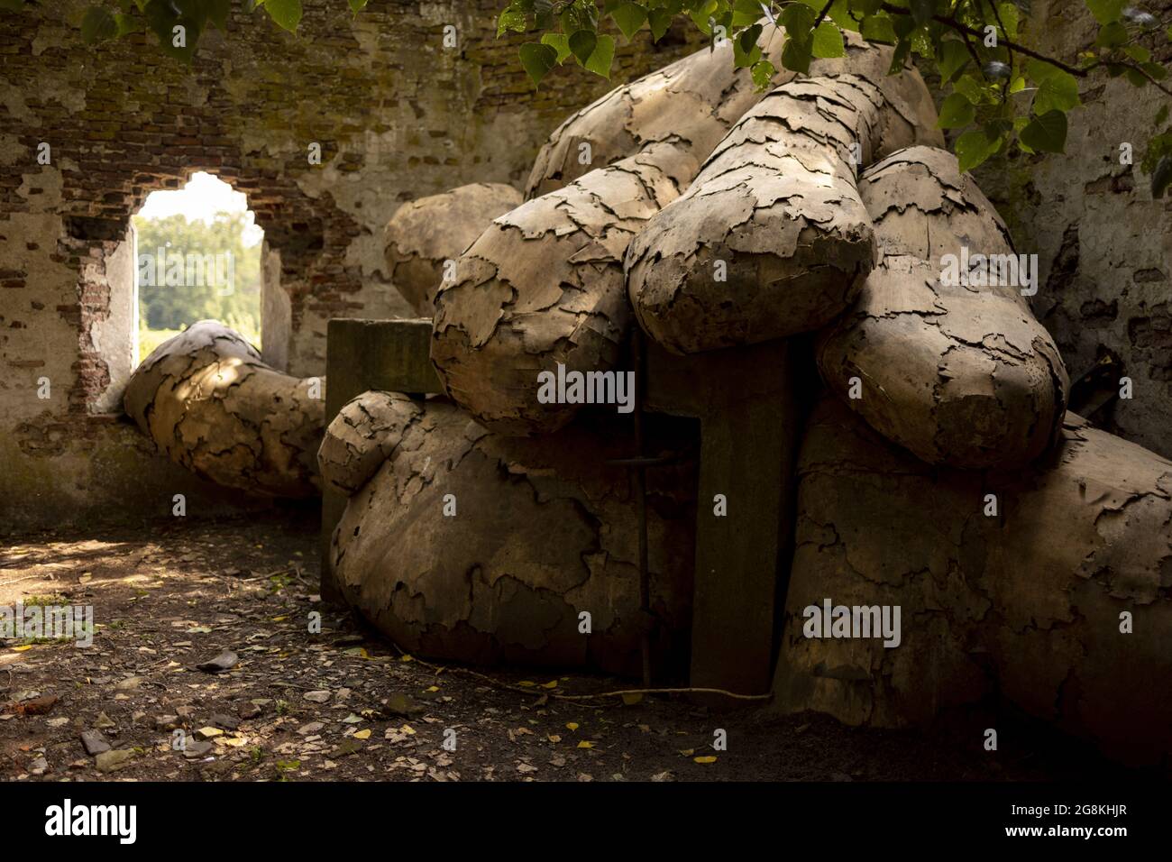 Remains of typical Dutch brick windmill overgrown with greenery Stock ...