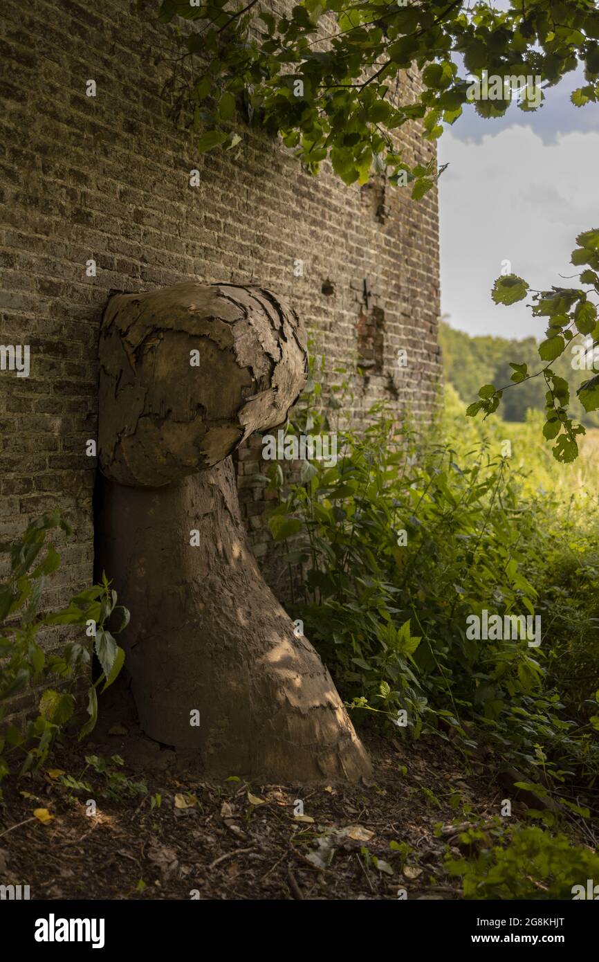 Remains of typical Dutch brick windmill overgrown with greenery Stock ...