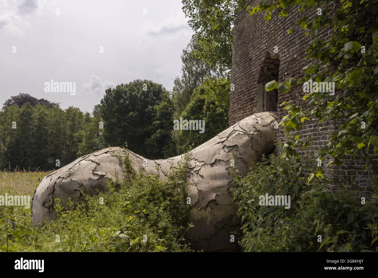 Remains of typical Dutch brick windmill overgrown with greenery Stock ...