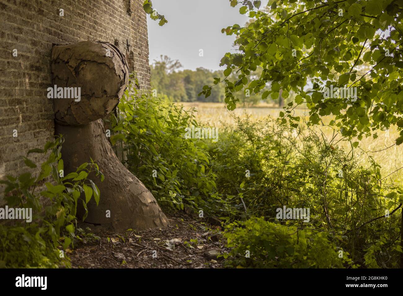 Remains of typical Dutch brick windmill overgrown with greenery Stock ...