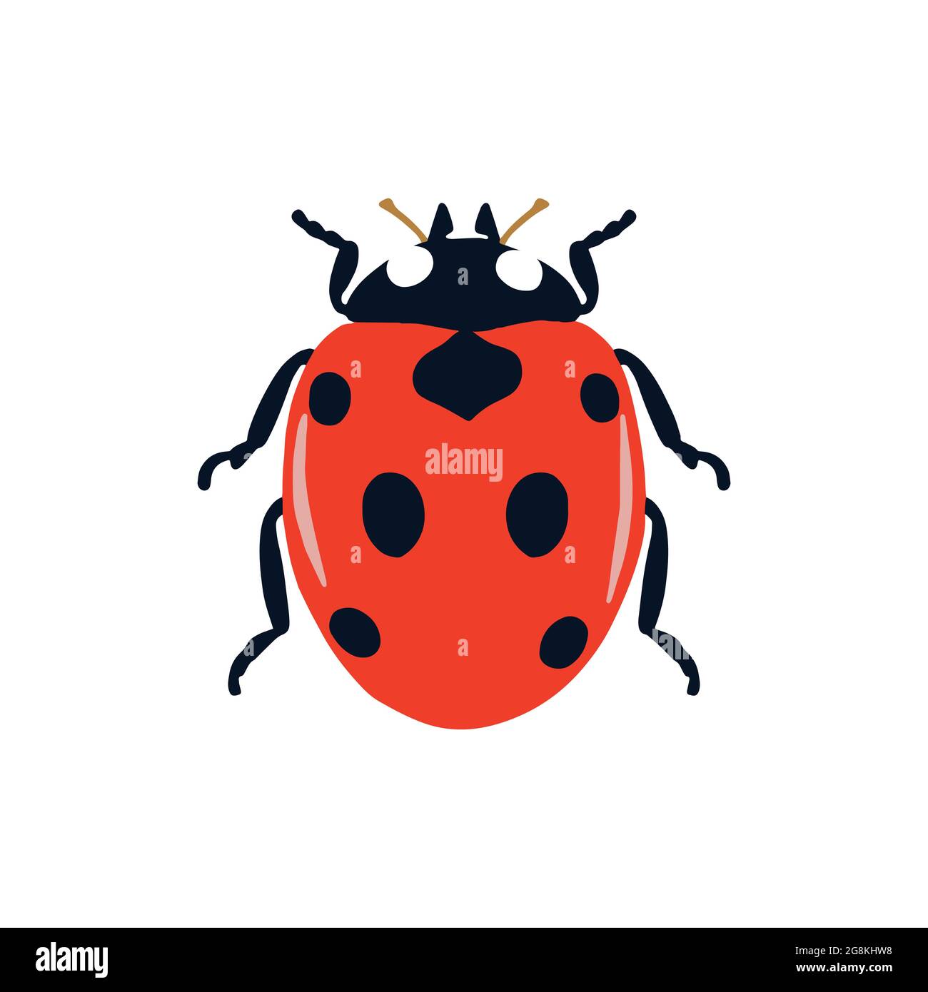 vector drawing of a ladybug, an icon on a white background Stock Vector ...