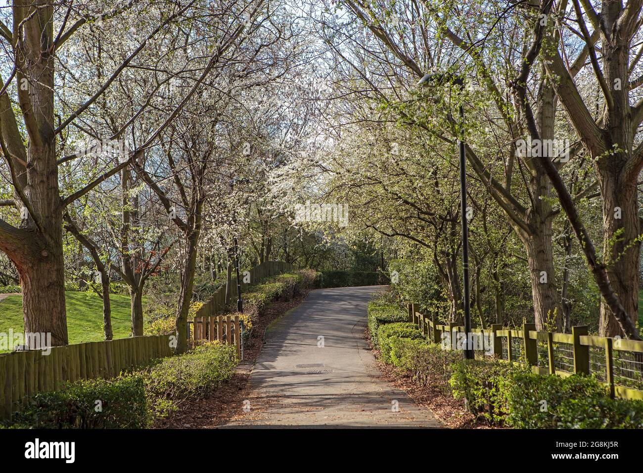 Entrance to the park in early spring, walkway and fences on the sides ...