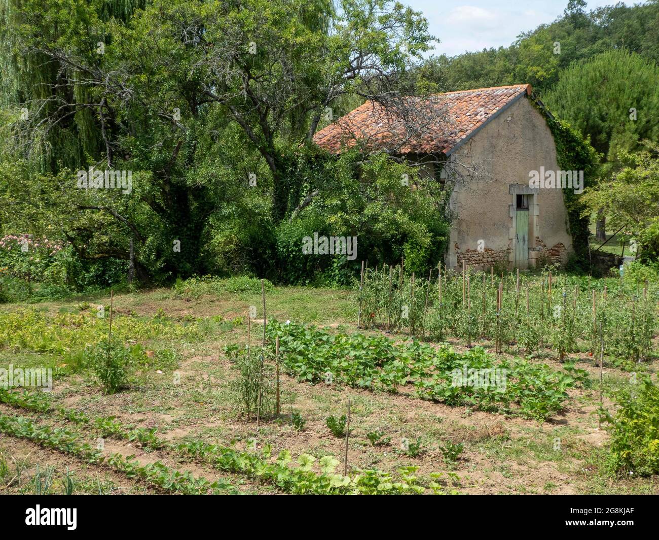 Outbuilding in small garden hi-res stock photography and images - Alamy