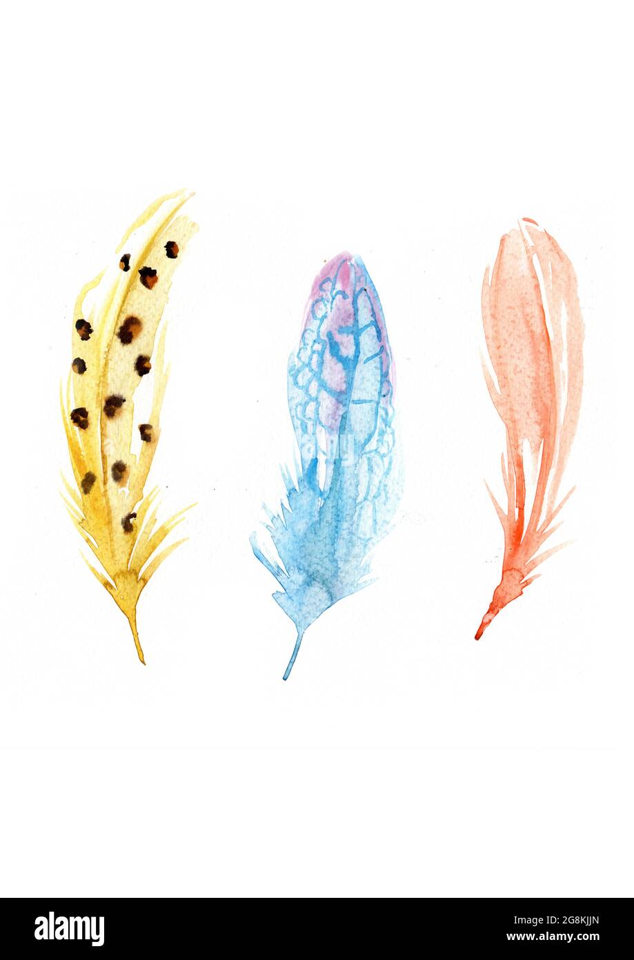 Hand-painted Illustration of three feathers in a row with white ...