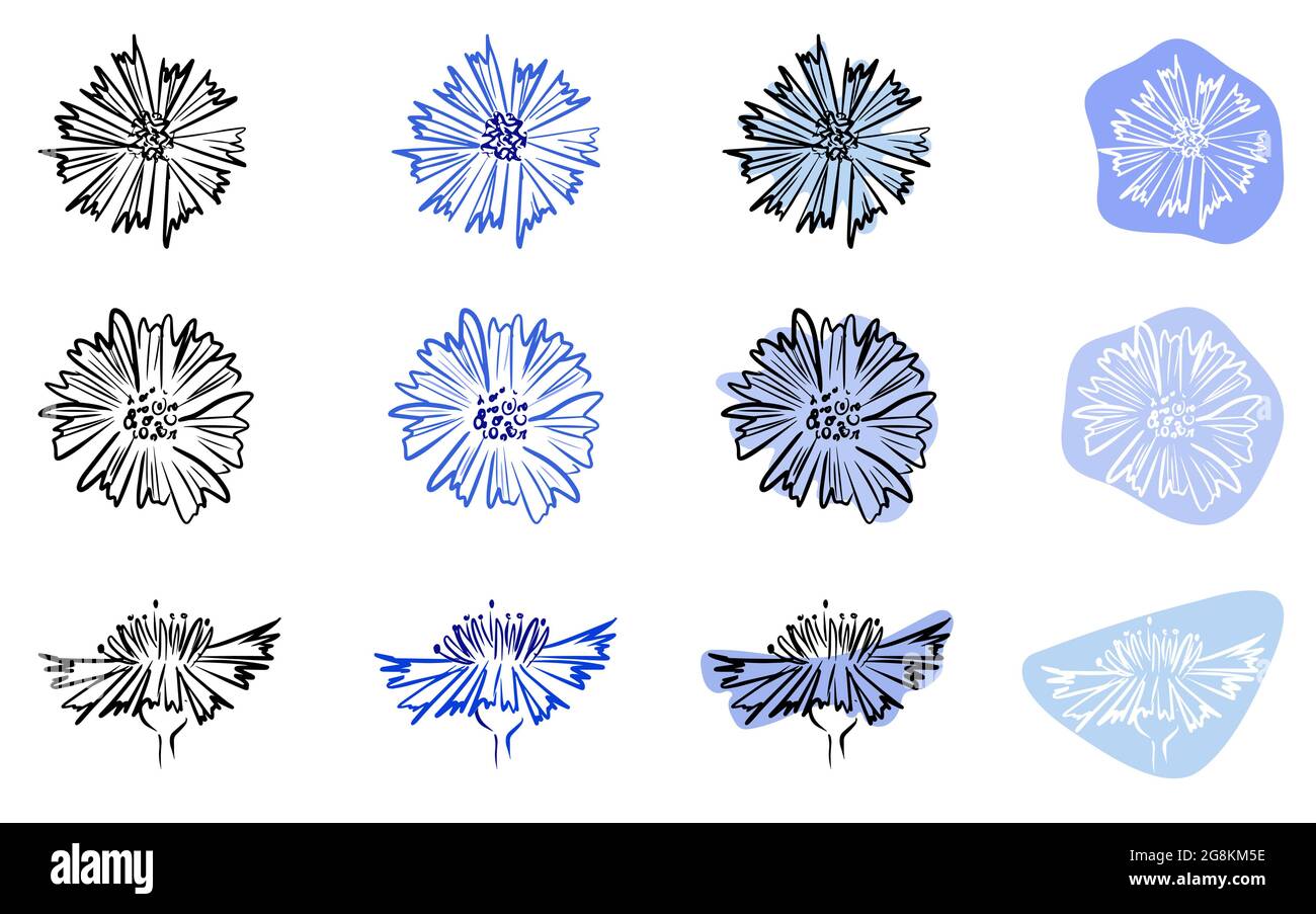 Cornflower. Icon set. Flowers on abstract shape on white background ...