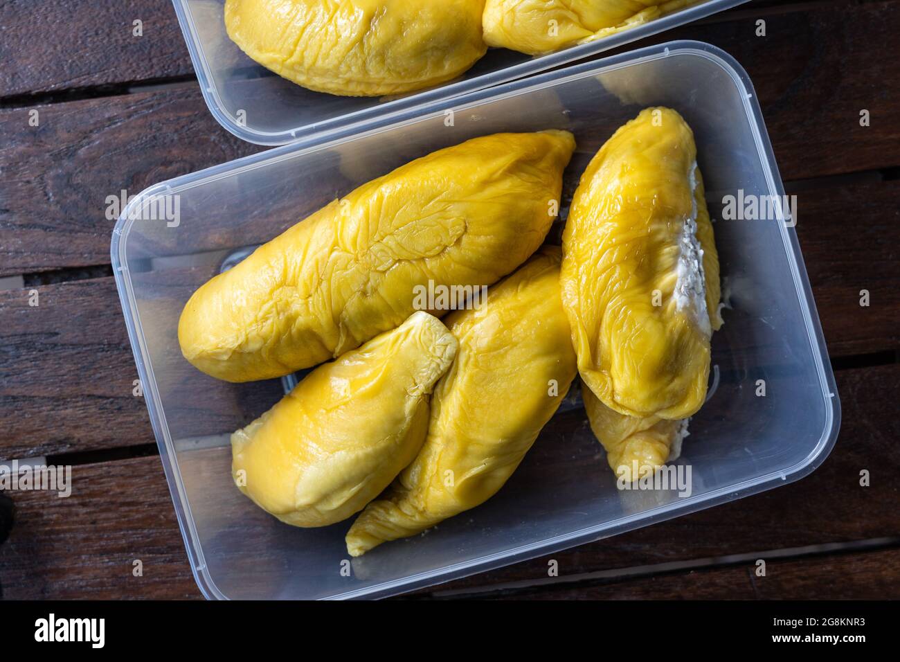 Overhead view of golden yellow musang king durian pulp flesh in ...
