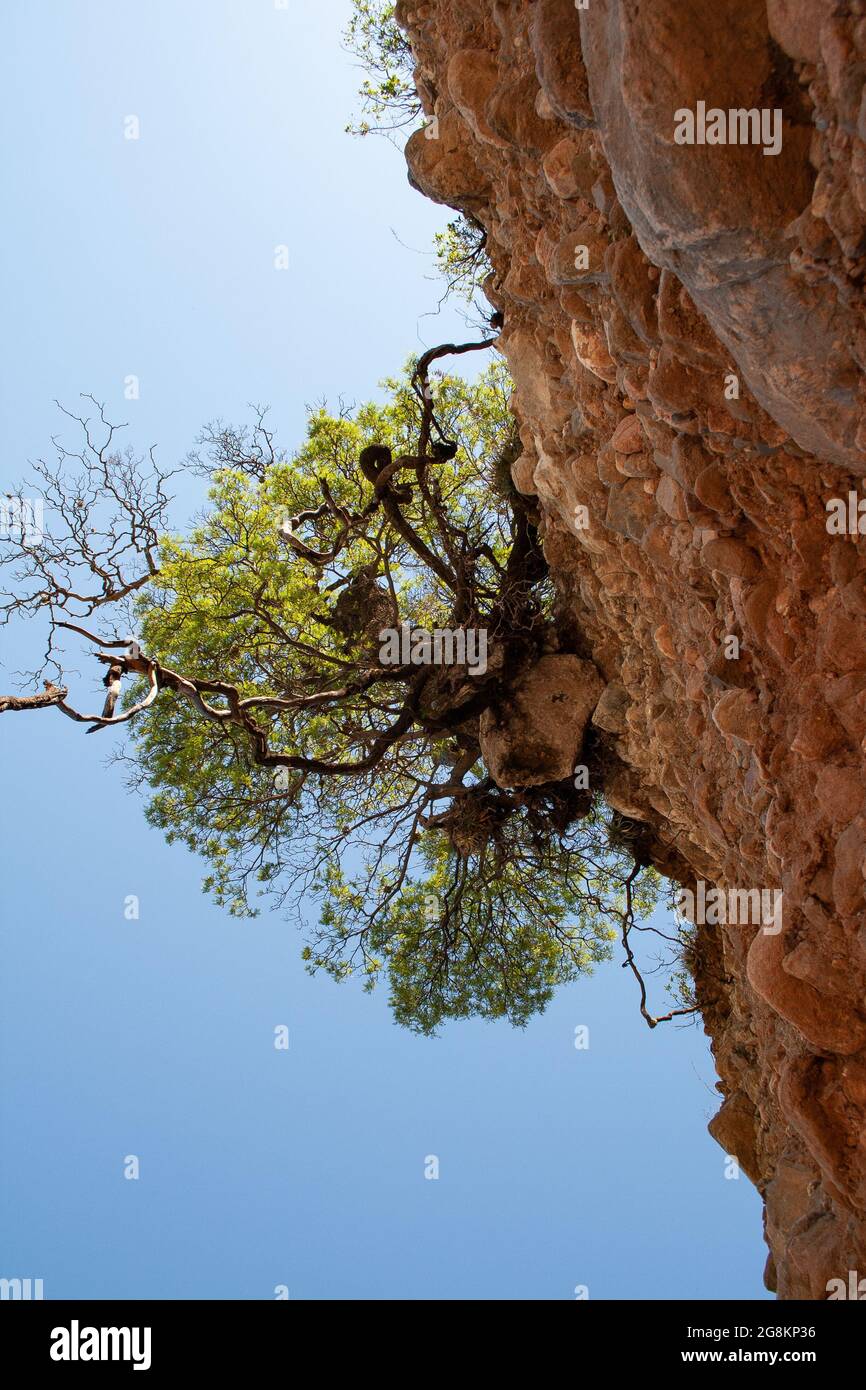 Edge environment hi-res stock photography and images - Alamy