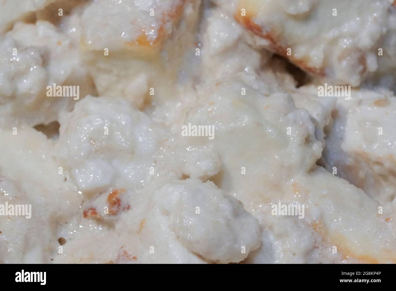 Cubes of fresh white paneer on a plate , being served. Close up image ...