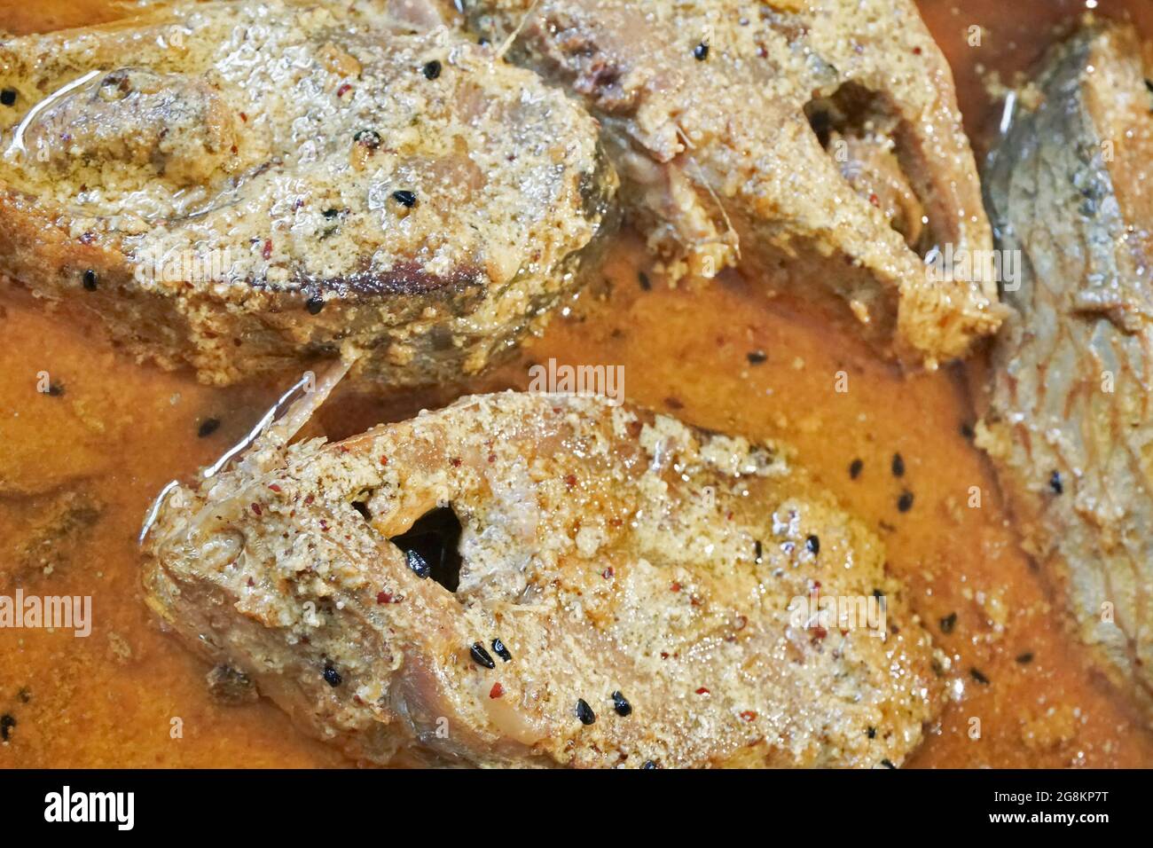 Tenualosa ilisha (ilish, hilsa, hilsa herring or hilsa shad) fish ...