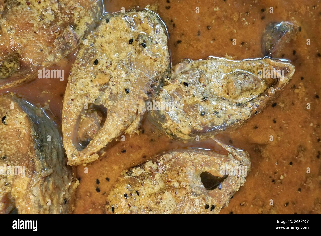 Tenualosa ilisha (ilish, hilsa, hilsa herring or hilsa shad) fish ...