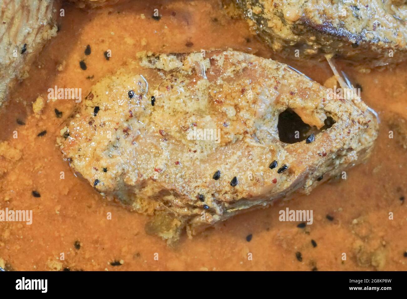 Tenualosa ilisha (ilish, hilsa, hilsa herring or hilsa shad) fish ...