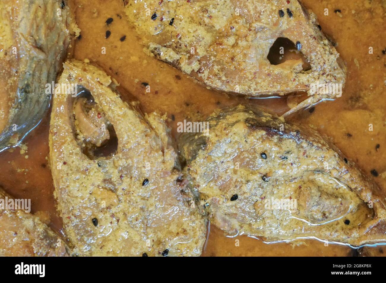 Tenualosa ilisha (ilish, hilsa, hilsa herring or hilsa shad) fish ...