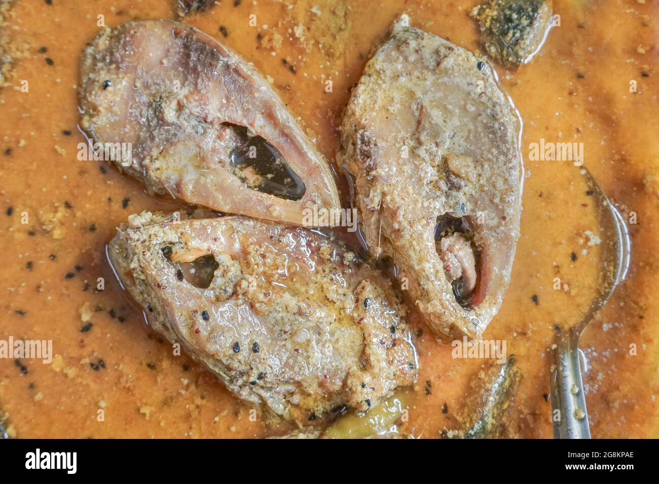 Tenualosa ilisha (ilish, hilsa, hilsa herring or hilsa shad) is a very ...