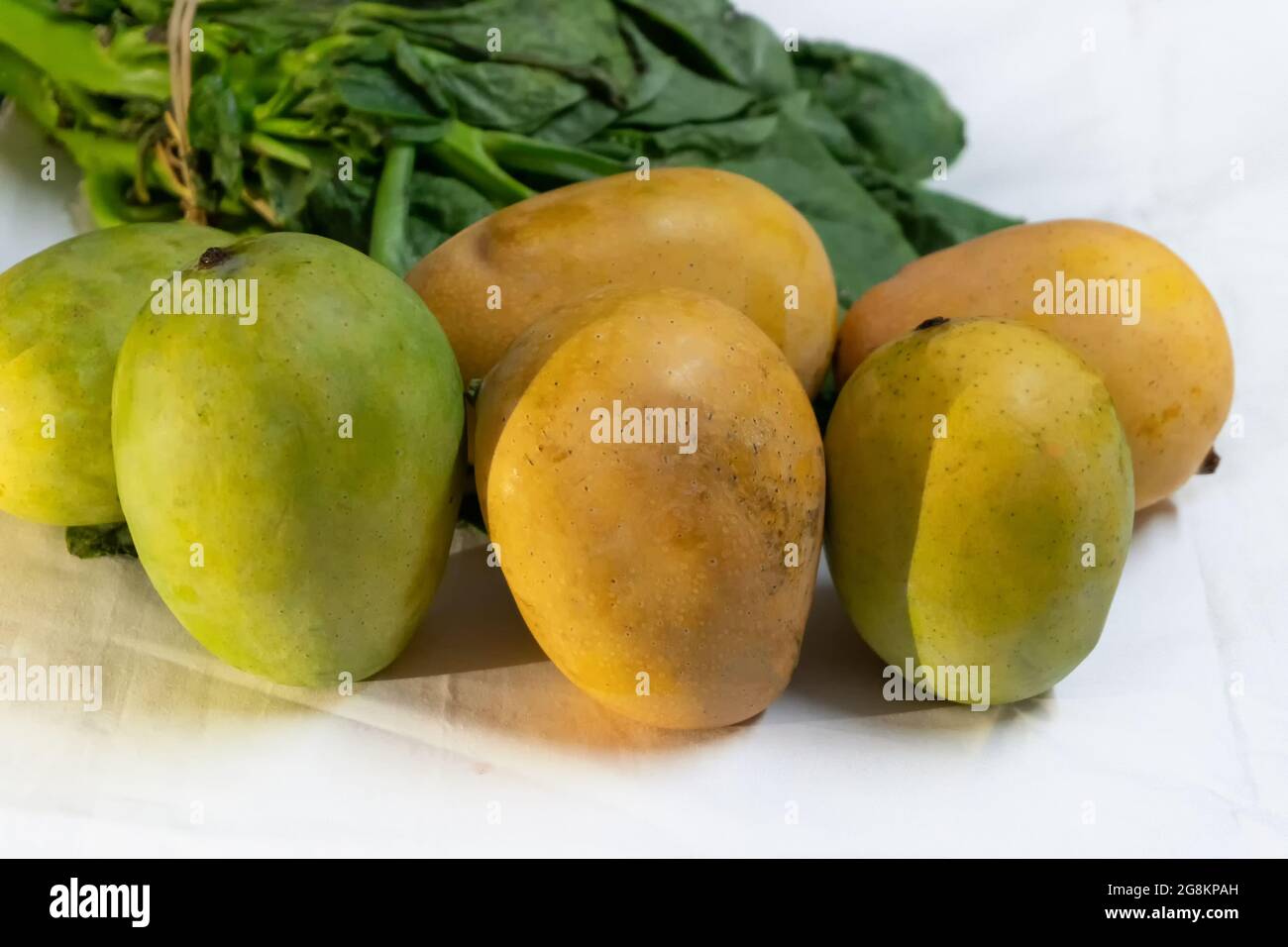Mangoes, juicy stone fruits, from numerous species of tropical trees ...