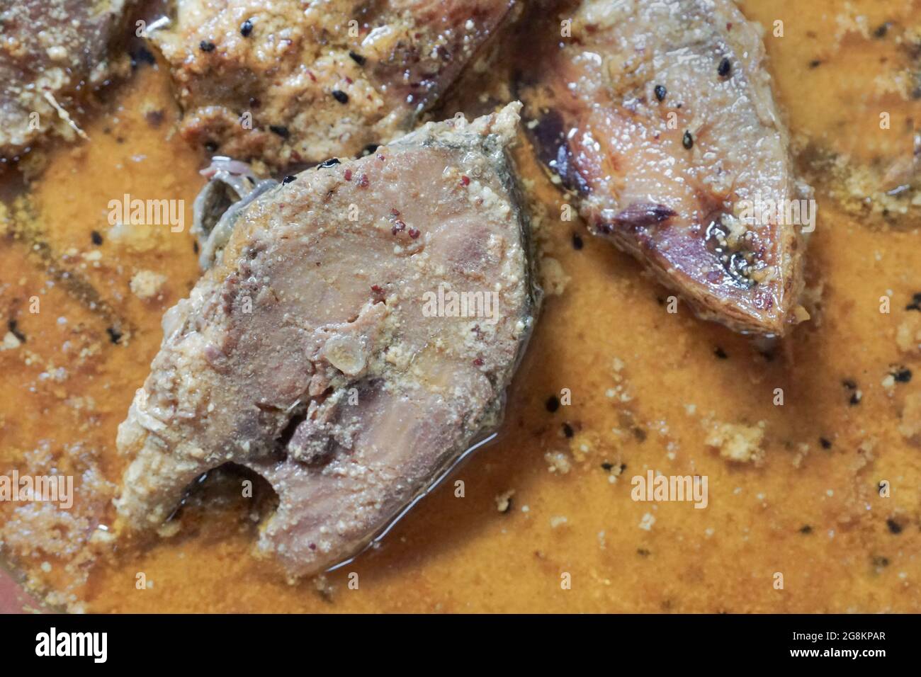 Tenualosa ilisha (ilish, hilsa, hilsa herring or hilsa shad) is a very ...