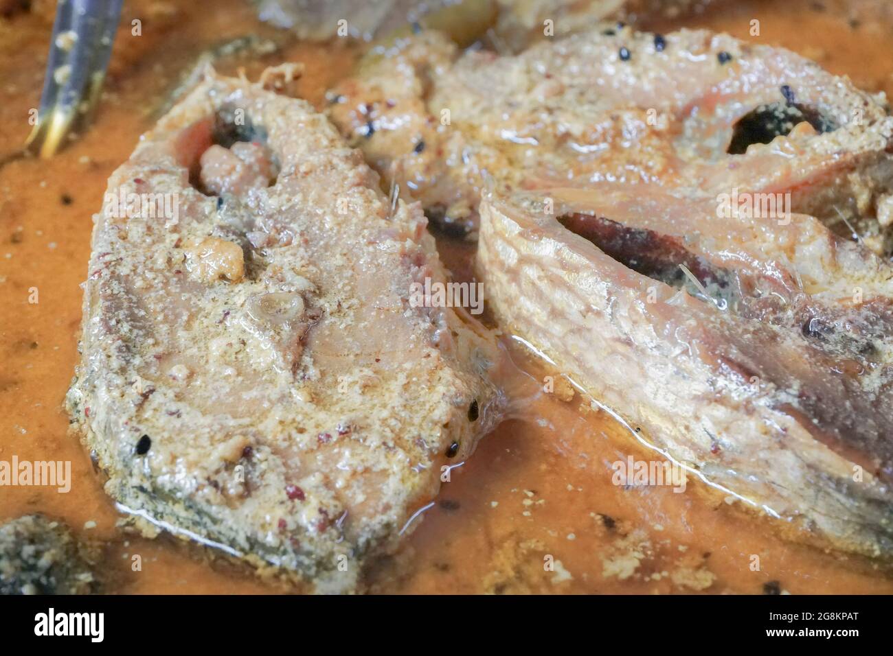 Tenualosa ilisha (ilish, hilsa, hilsa herring or hilsa shad) is a very ...