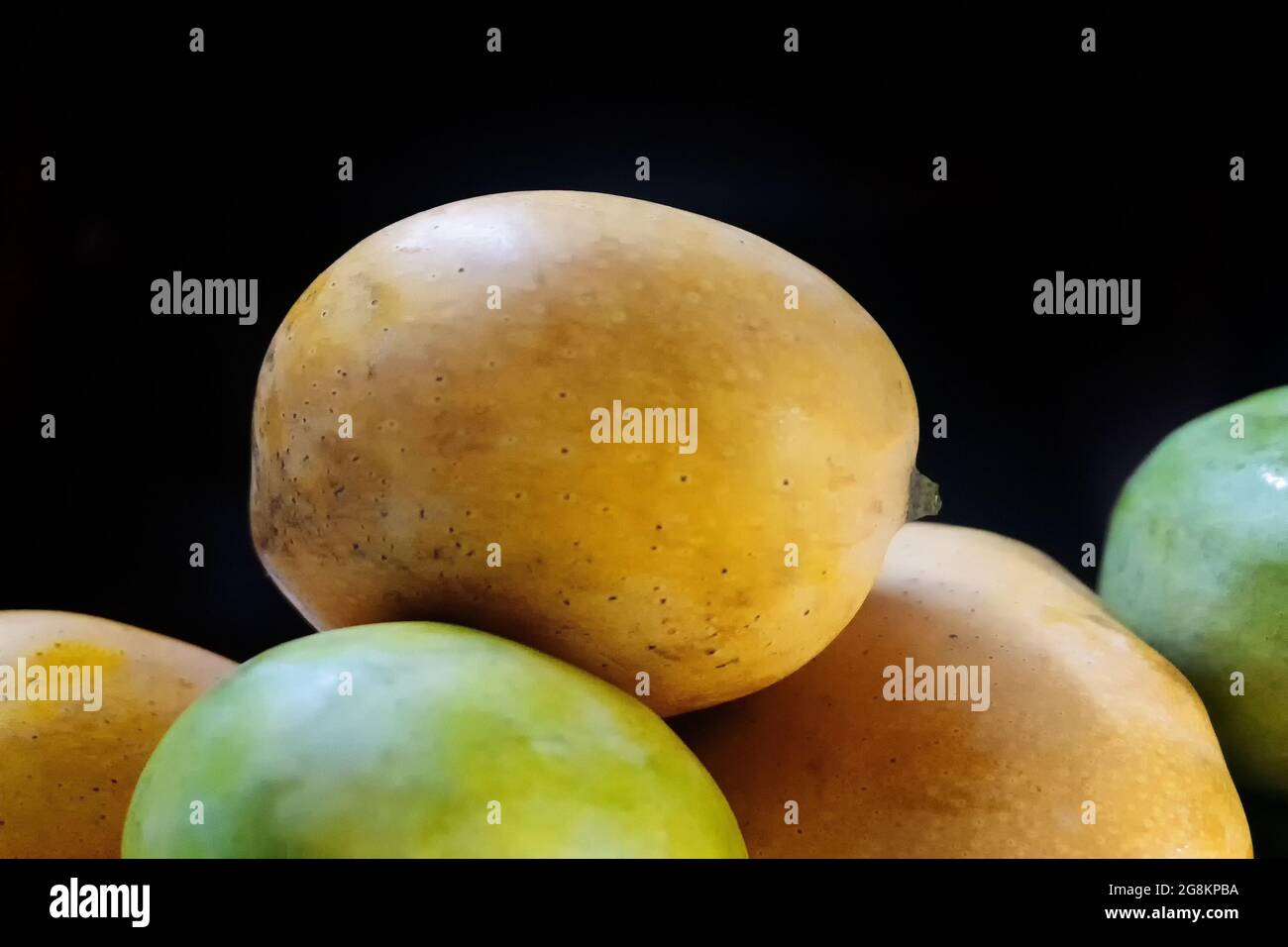 Healthy round ripe mangoes hi-res stock photography and images - Alamy