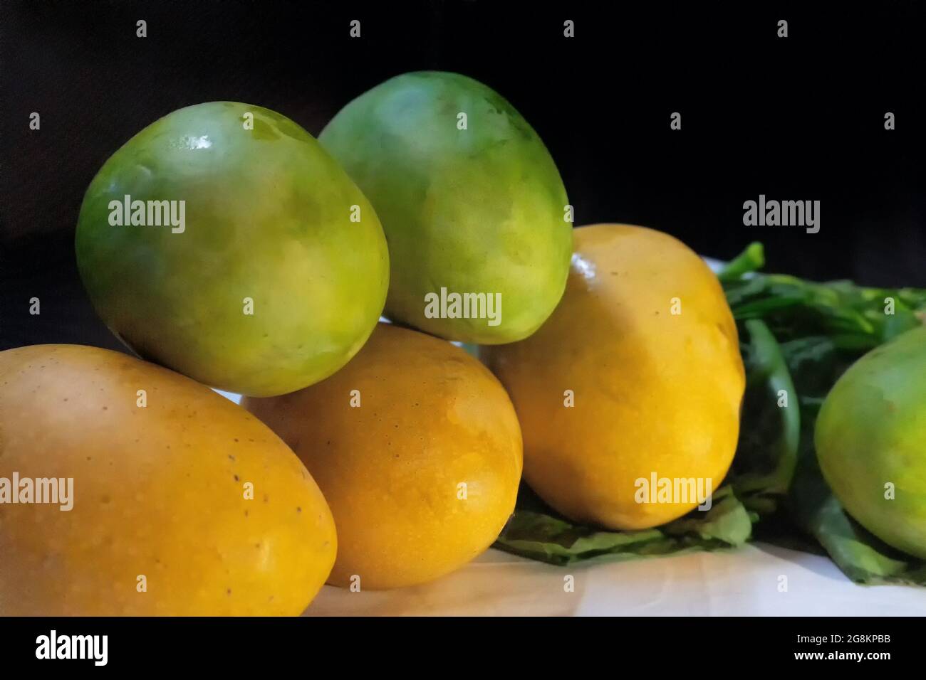 Mangoes, juicy stone fruits, from numerous species of tropical trees ...