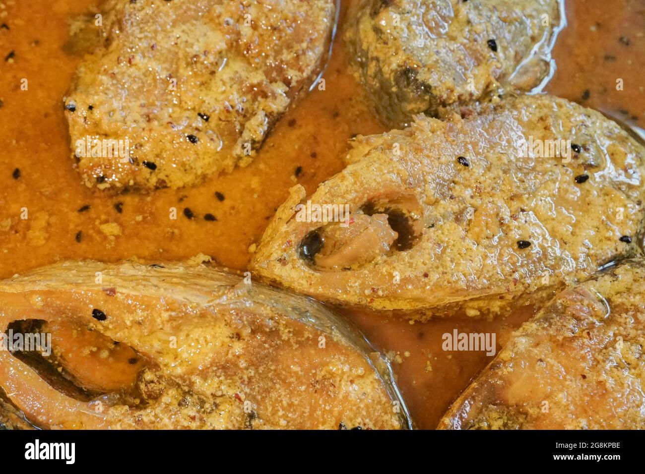 Tenualosa ilisha (ilish, hilsa, hilsa herring or hilsa shad) fish ...