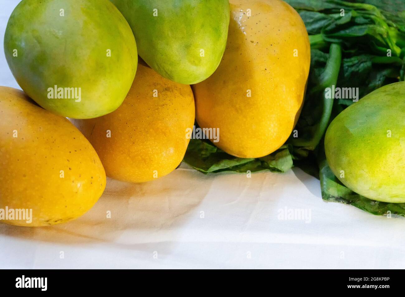 Mangoes, juicy stone fruits, from numerous species of tropical trees ...