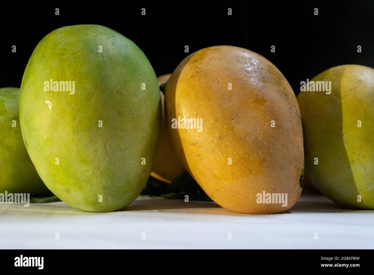 Mangoes, juicy stone fruits, from numerous species of tropical trees ...