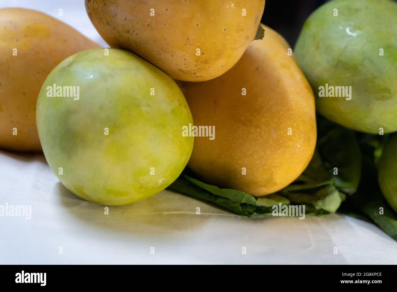 Mangoes, juicy stone fruits, from numerous species of tropical trees ...