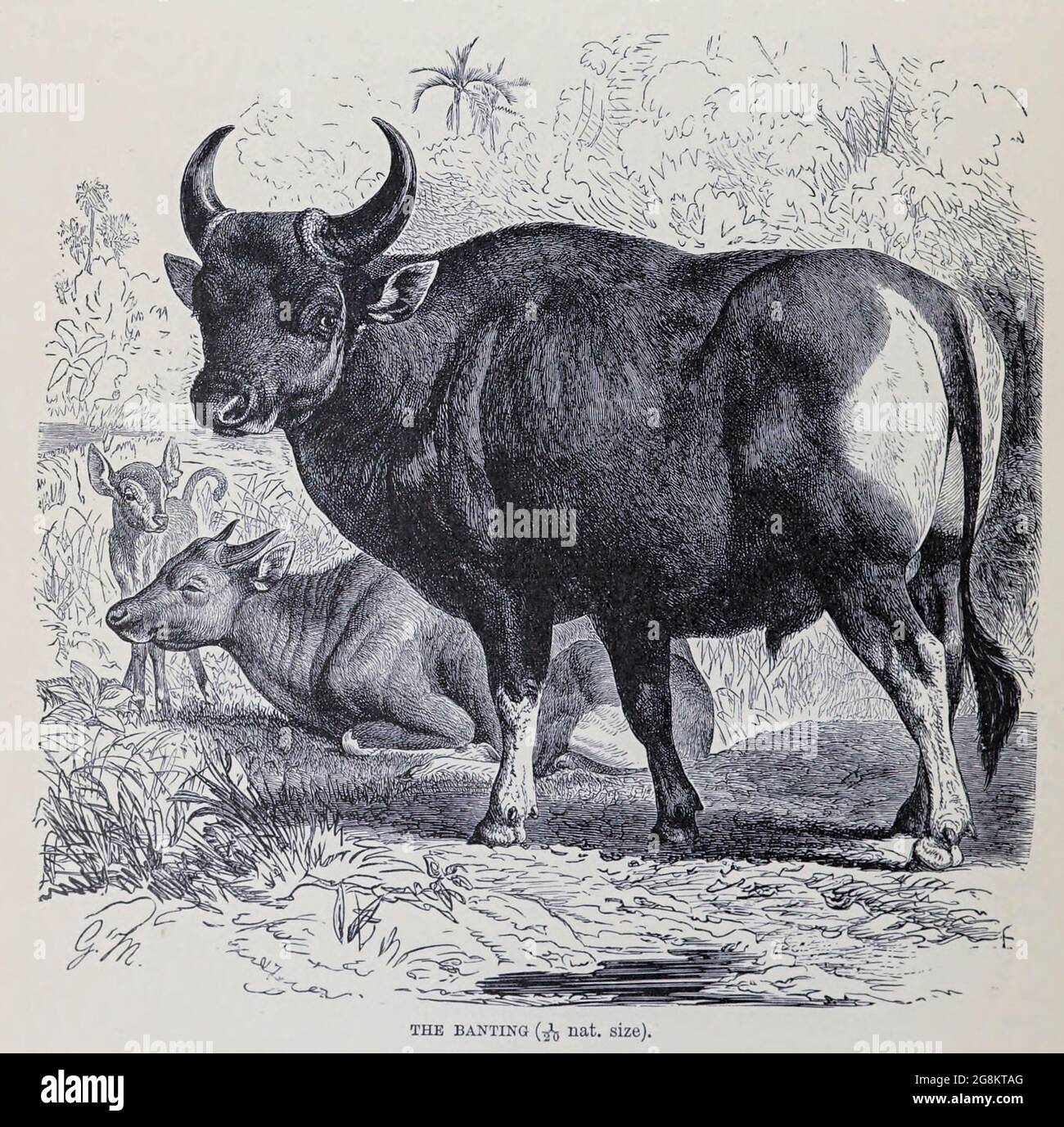 Frederick banting hi-res stock photography and images - Alamy