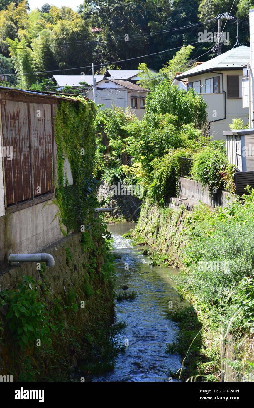 Vertical shot of a flowing river in a canal near the residential area ...