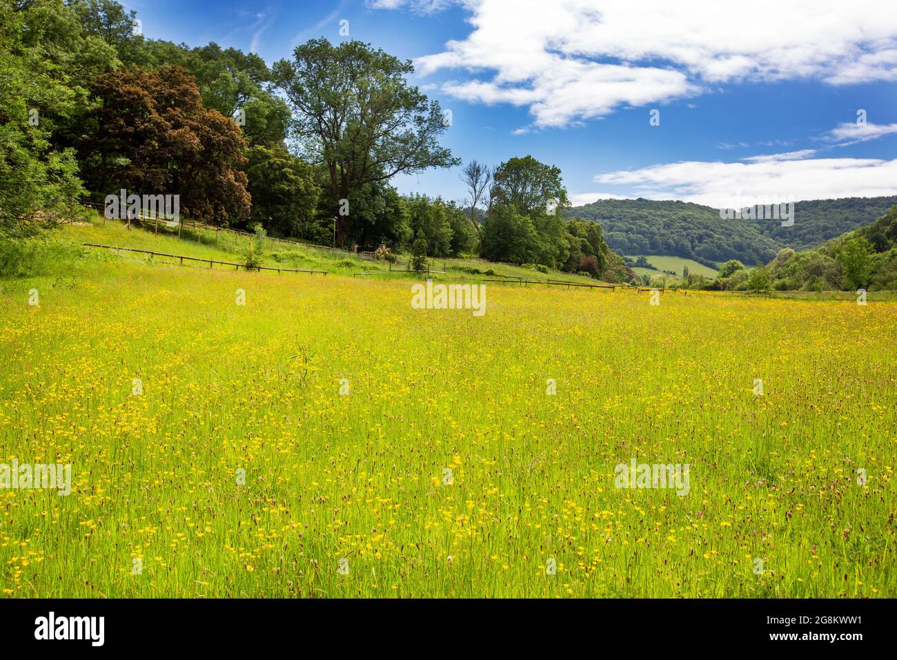 Cleddon hi-res stock photography and images - Alamy
