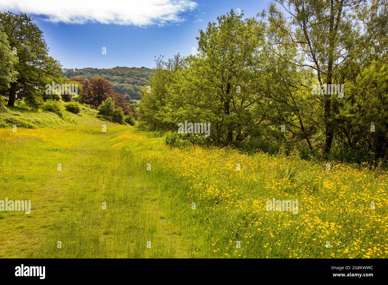 Monmouthshire meadows hi-res stock photography and images - Alamy