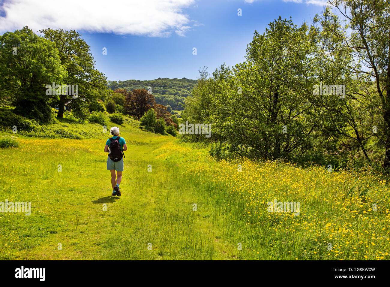 Wildflower meadows on the River Wye below Cleddon, Gloucestershire, UK ...