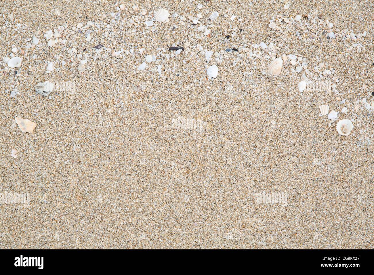 Close up shot of sand texture details with small pieces of sea shells ...