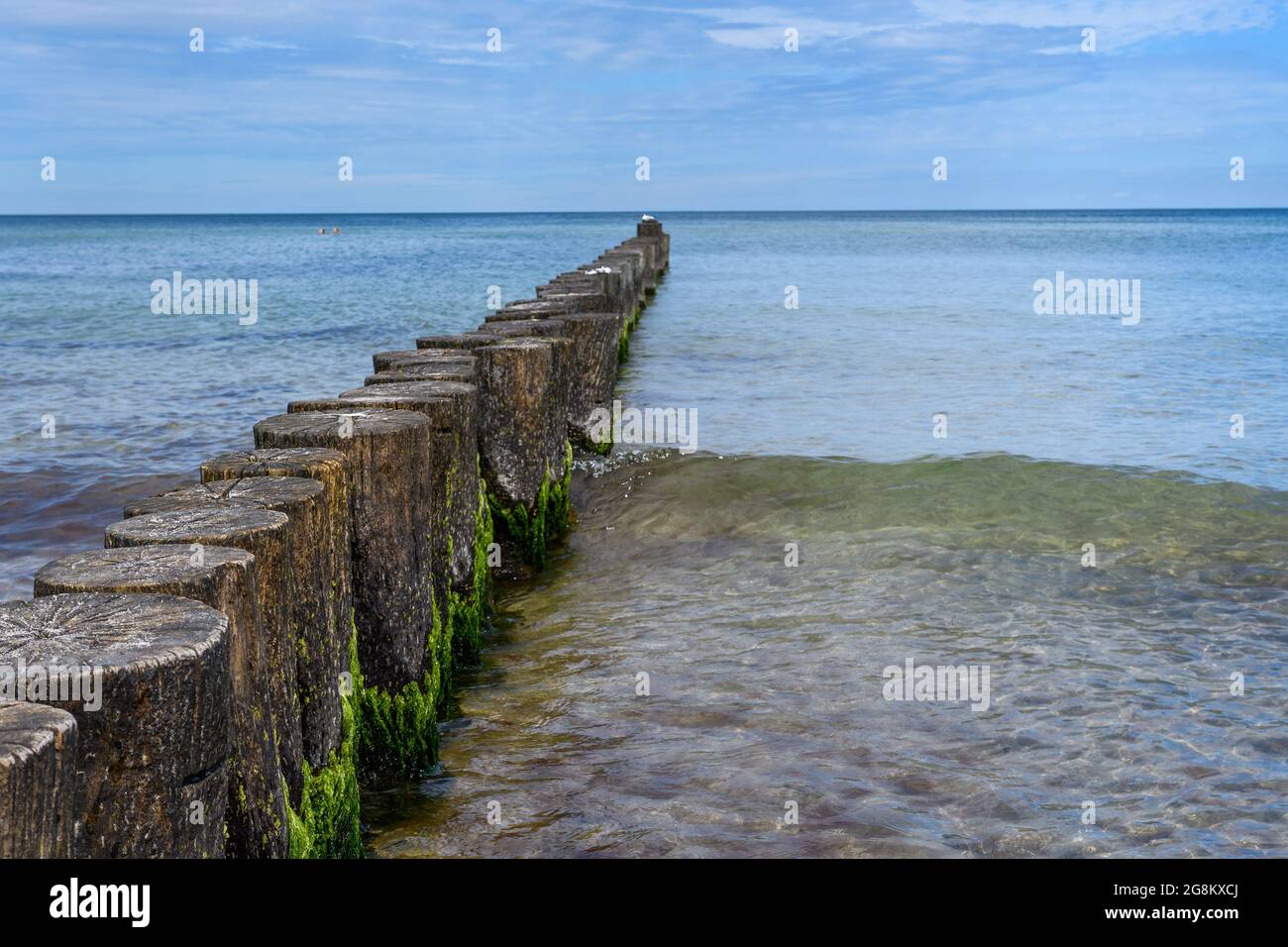 Coast protection at the baltic sea (Kuehlungsborn, Germany): groynes ...